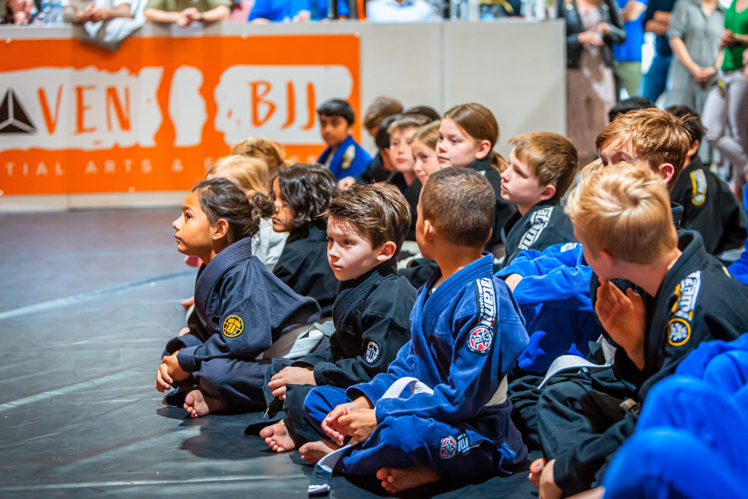 Martial Arts in Woking near Chertsey | BJJ Brazilian Jiu Jitsu for ...